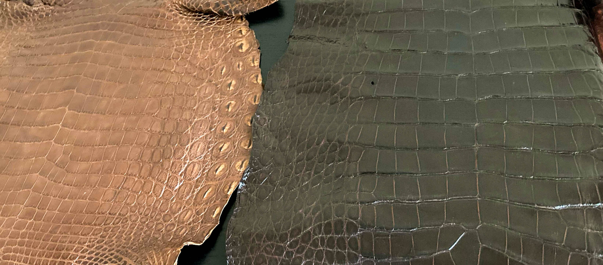 Alligator Skin vs. Nile Crocodile Skin: Unraveling the Luxury - Taza ...