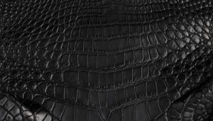 4 Things You Should Know About Alligator Leather