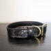 Black Alligator Leather Dog Collars | Taza Leather