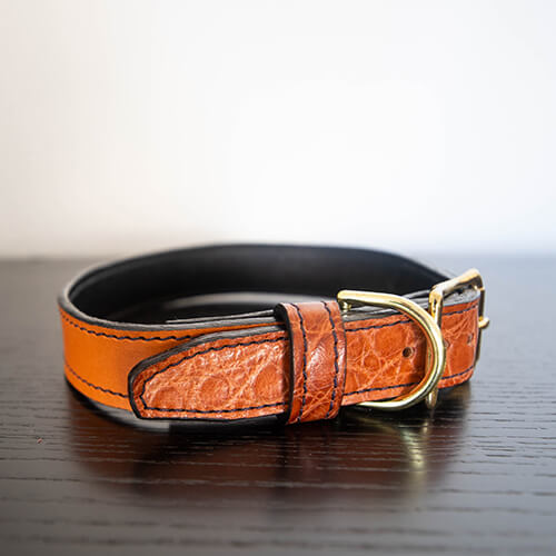 Cognac Alligator and Bridle Leather Dog Collar | Taza Leather