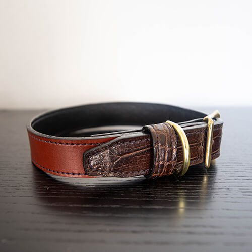 Handmade Brown Alligator Leather Dog Collars | Taza Leather