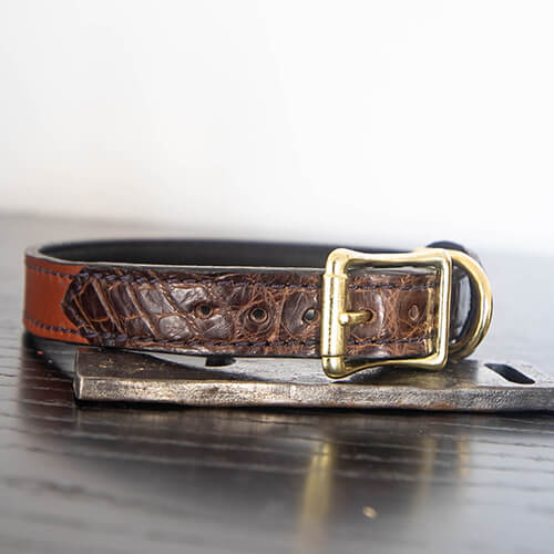 Handmade Brown Alligator Leather Dog Collars | Taza Leather